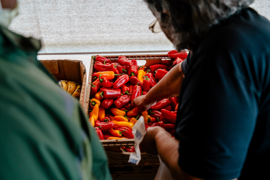 FOOD - Social Determinants of Health in Detroit